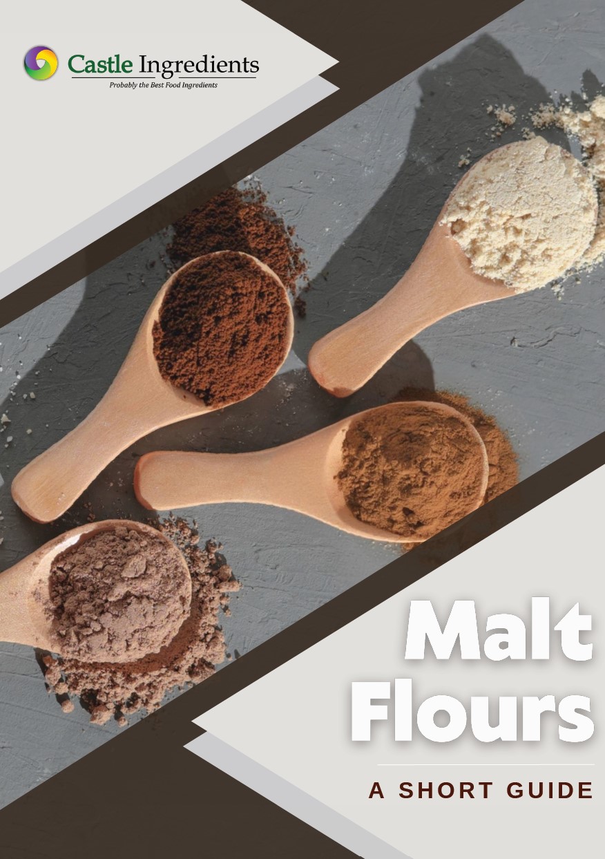 Our Catalogues | Castle-Group